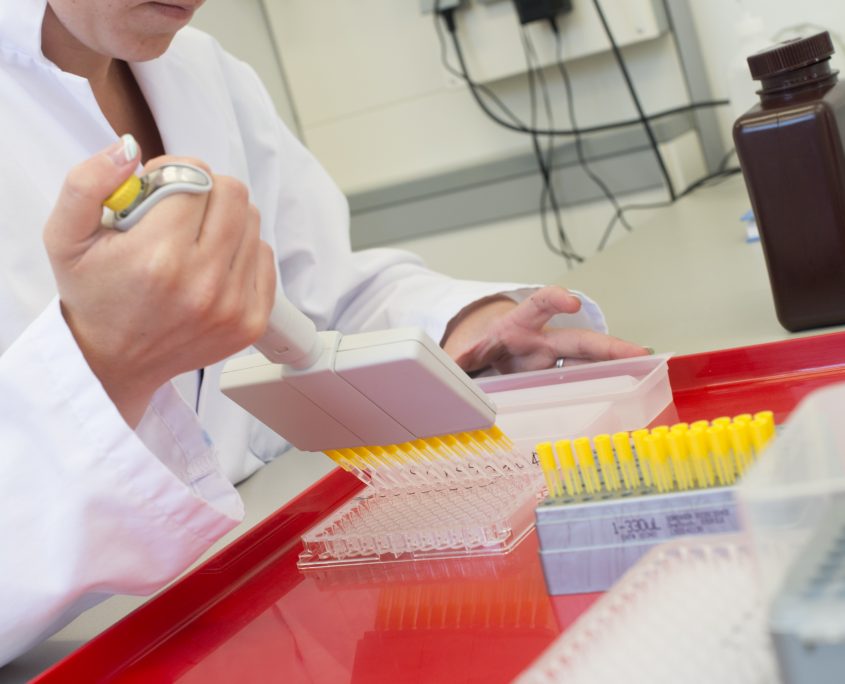 Q-koorts: vaccin onderzoek - het Q-VaxCelerate project